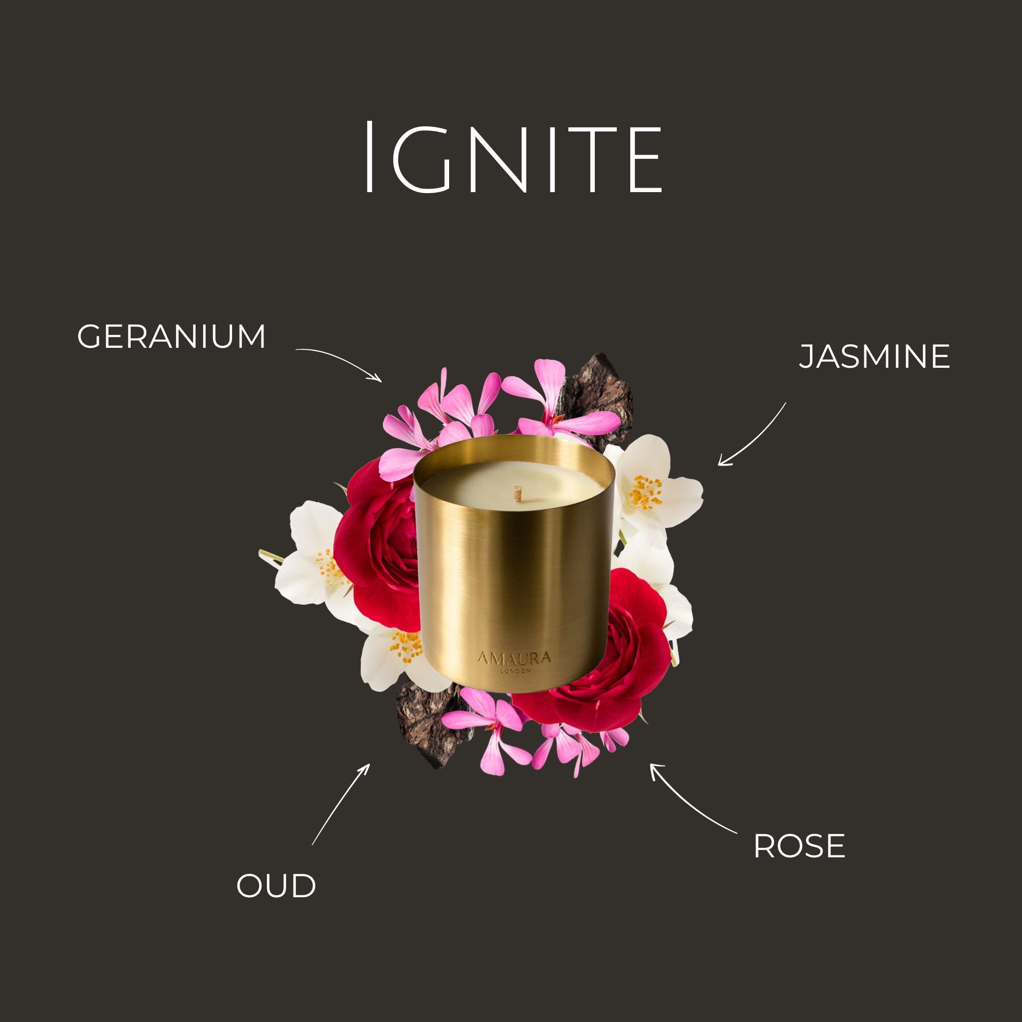 Ignite Candle Refill | Long Lasting out & Gerenium Scented Candle ...